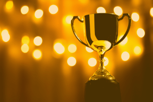 Giving Awards | Do Your Research – Carolyn's Nonprofit Blog
